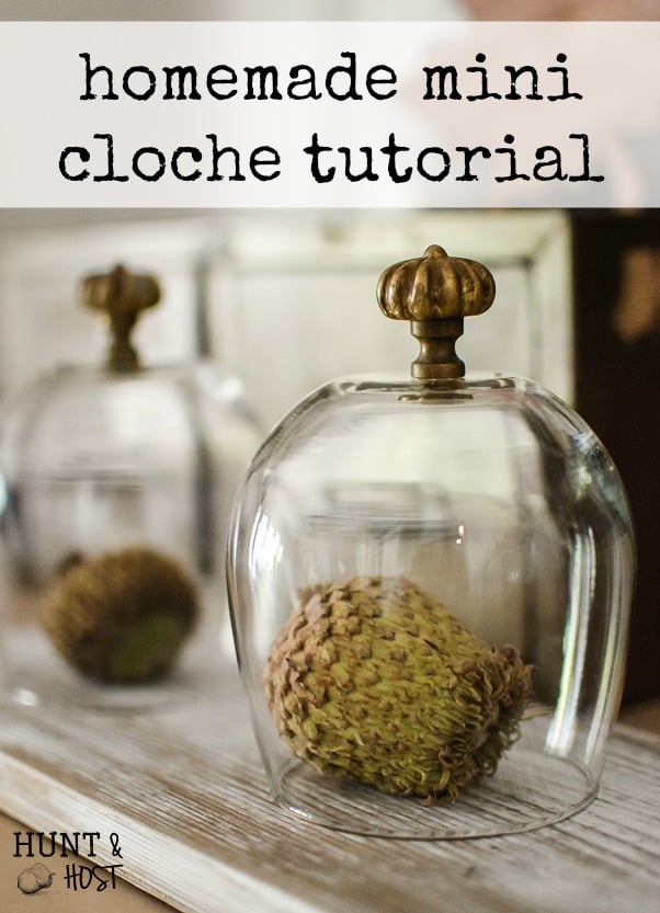 Homemade Mini Cloche - Kim Pepper Blog